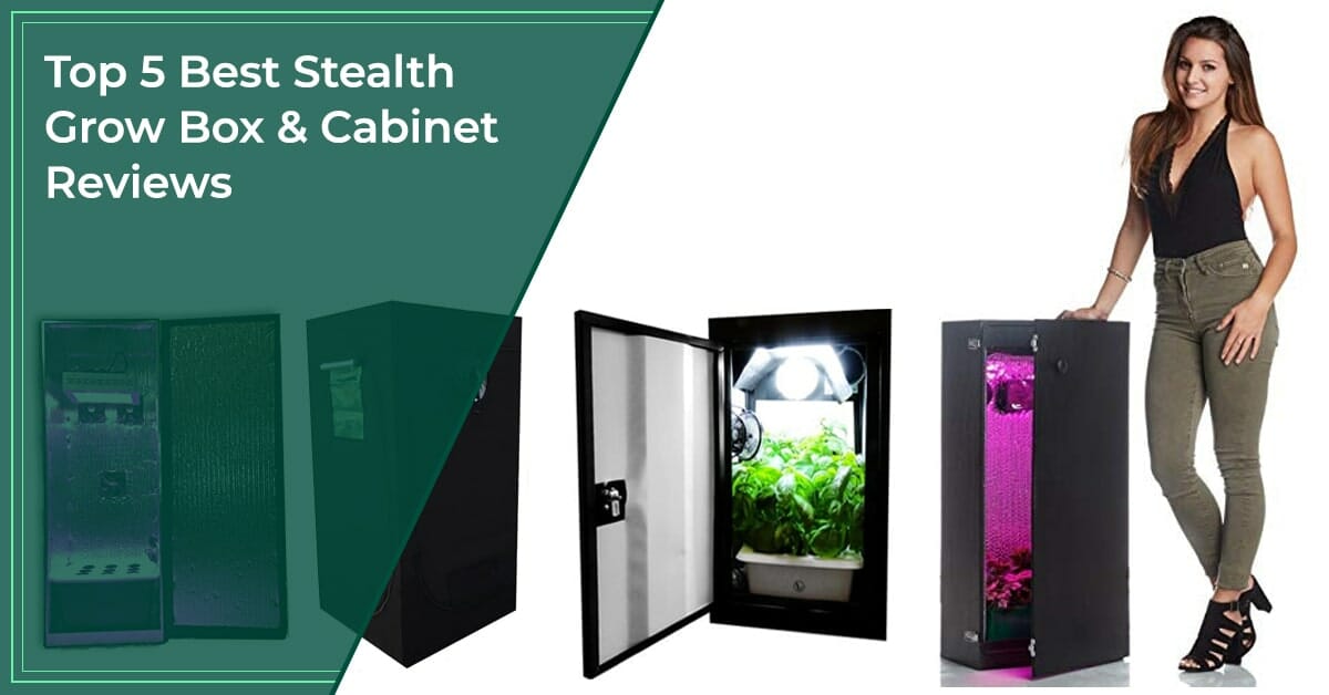 TOP 5 Best Stealth Grow Box & Cabinet Reviews in 2025