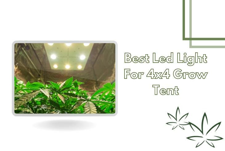 Top #10 Best grow light for 4x4 tent In 2023 - [The Only Guide]