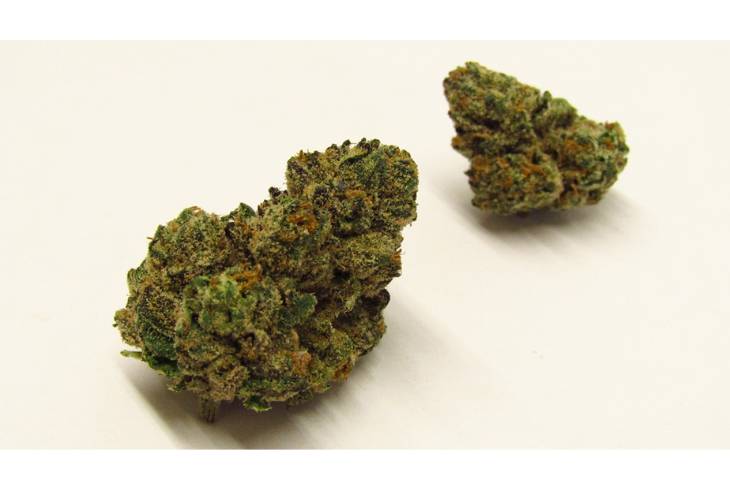 #10 Best Runtz Strains for a Sweet High: Must Try in 2025