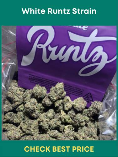 #10 Best Runtz Strains for a Sweet High: Must Try in 2025