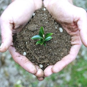 How to Grow with Organic Super Soil {Step by Step guide}