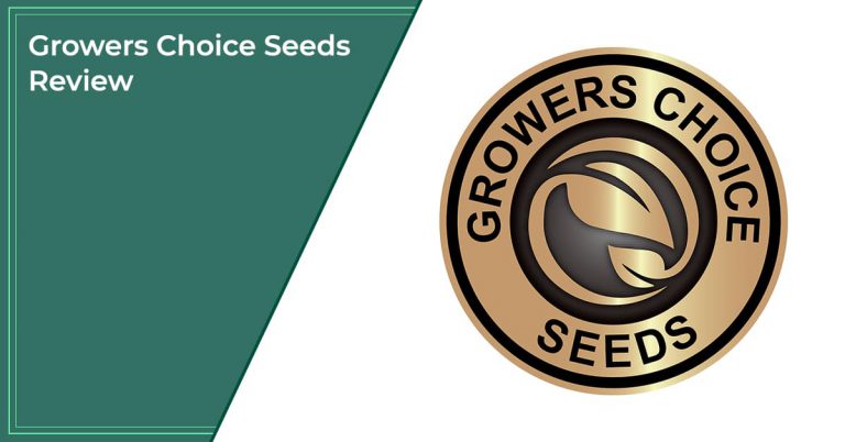 Growers Choice Seeds Review - Most Reliable? in 2022/23